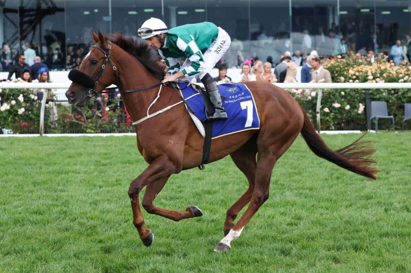 Enigmatic mare Mac 'N' Cheese ready to go first-up at Flemington