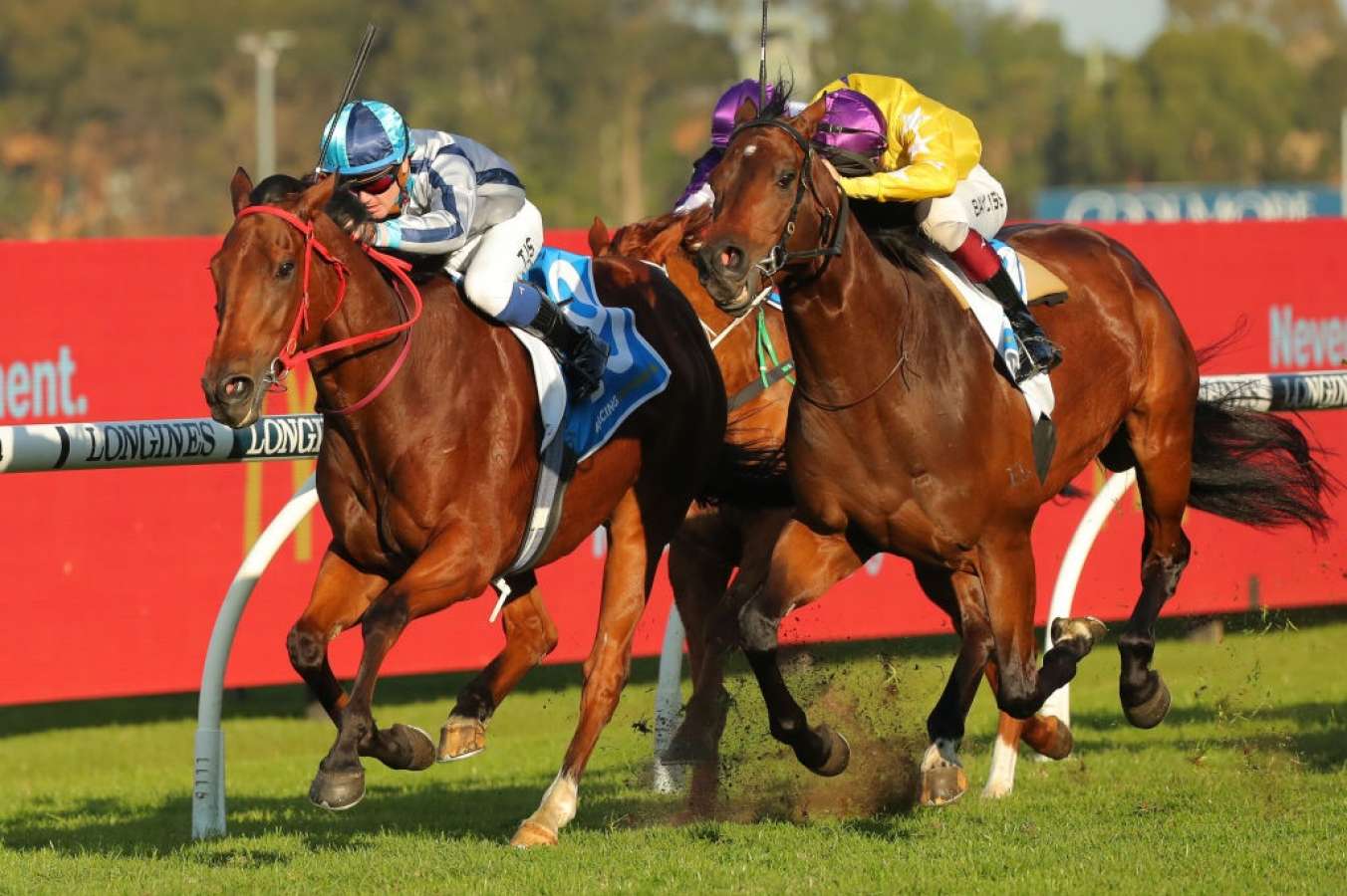 Big Bets Review: Roughie's form reversal lands six-figure collect