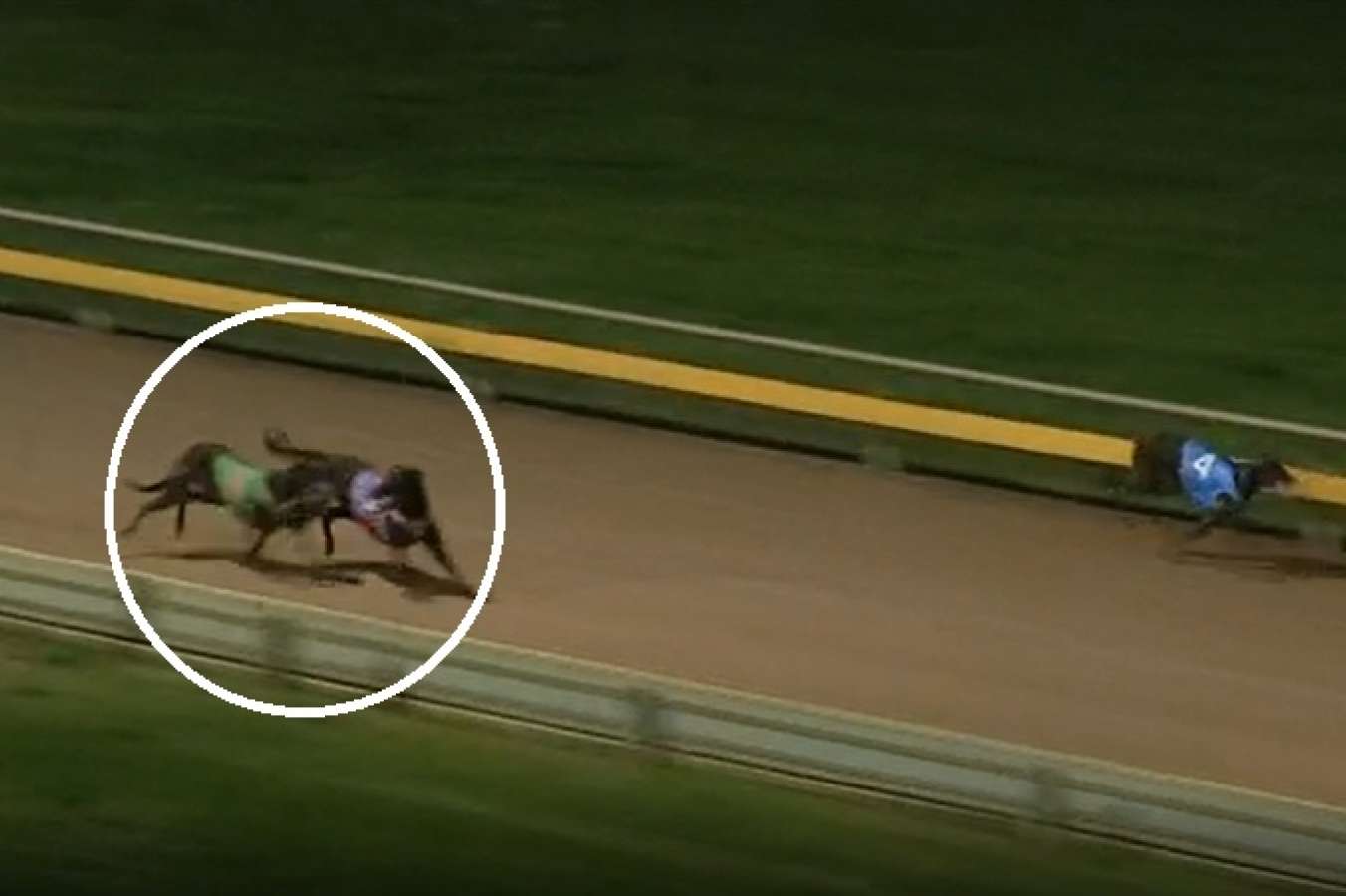 Mad Captain lives up to his name with wild performance at Horsham