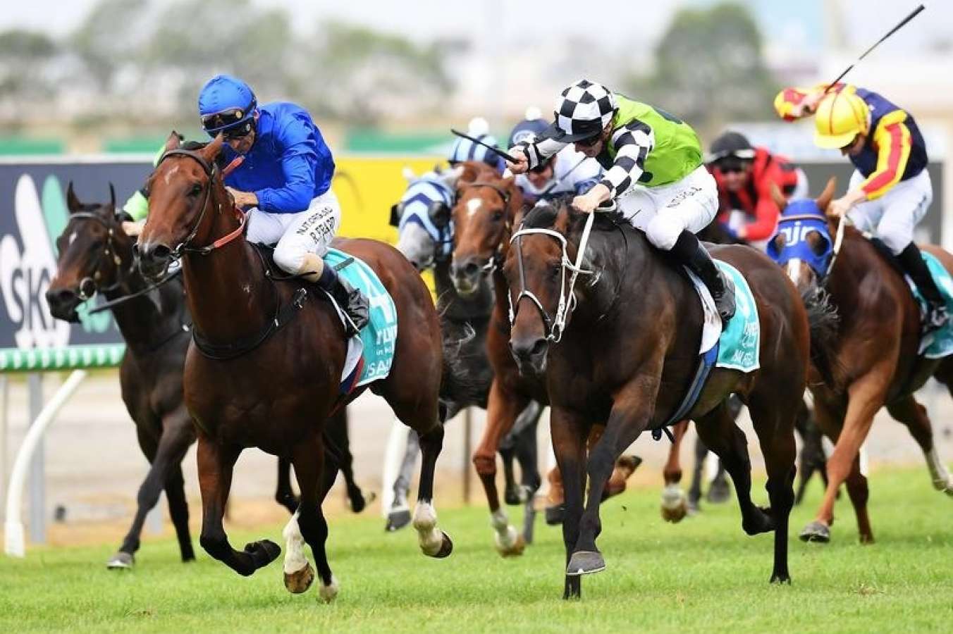 Madam Rouge claims Magic Millions Snippets