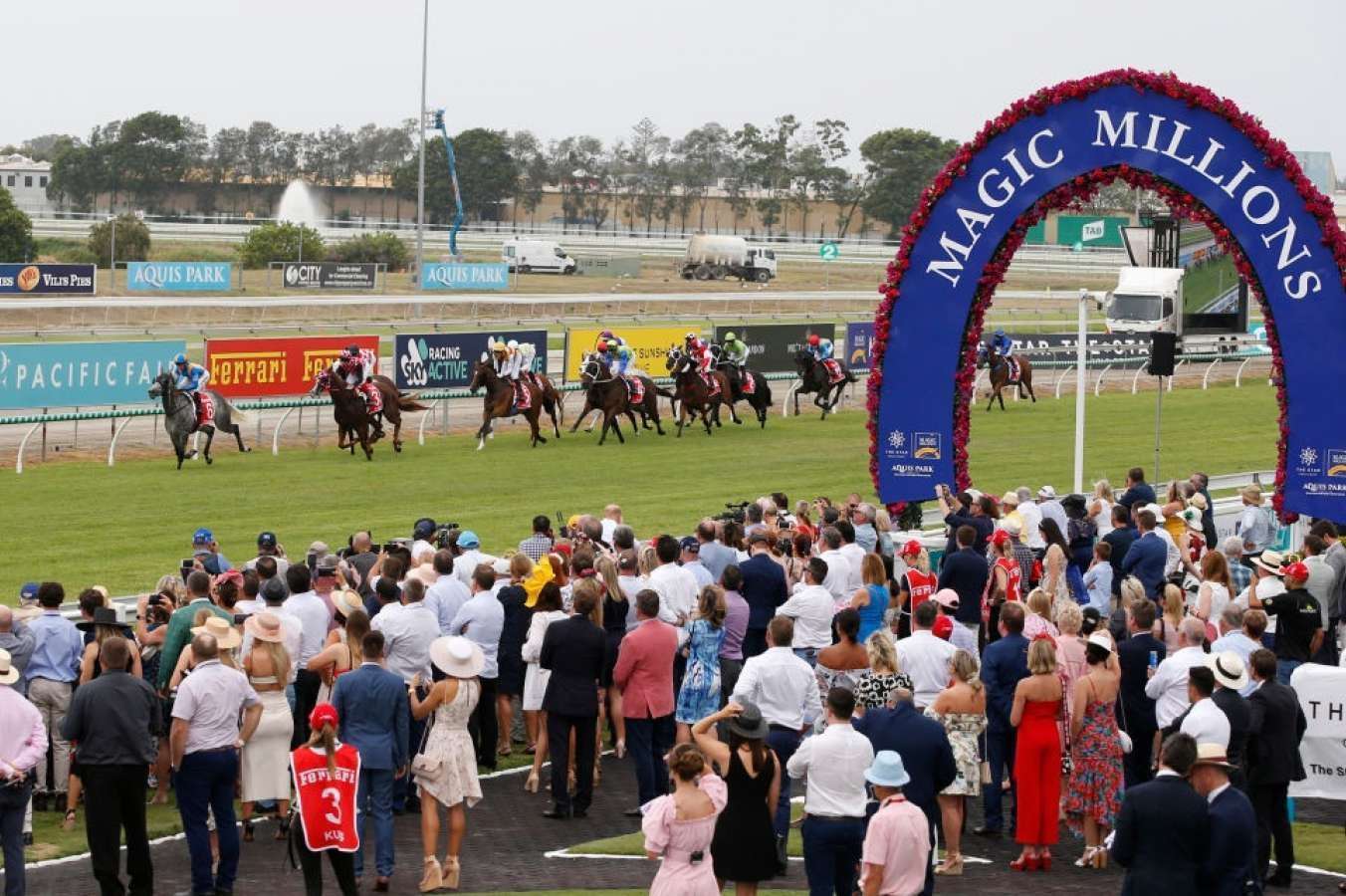 Racing: Saturday Selections - Magic Millions Day | Odds