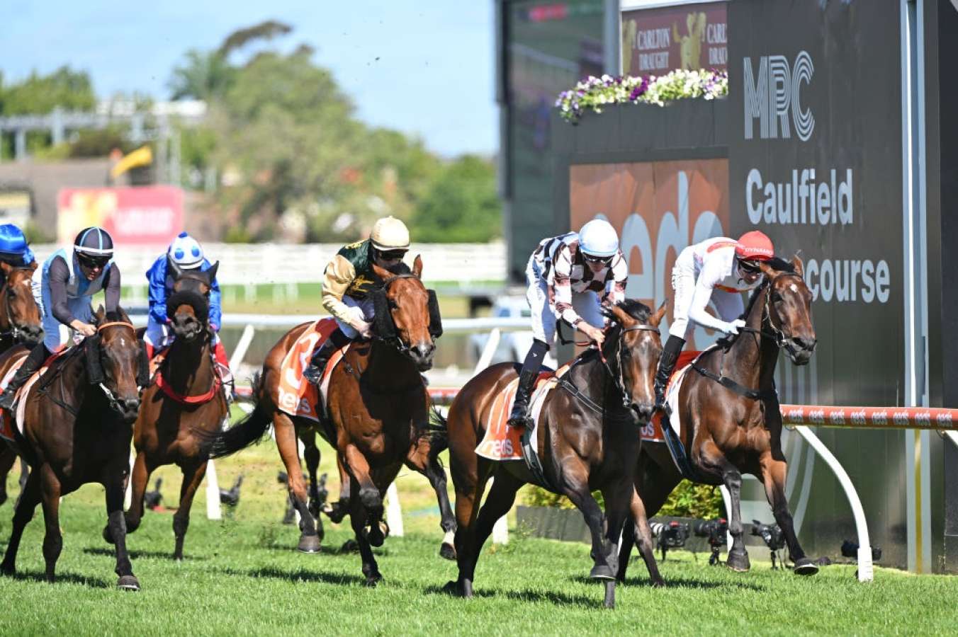 Sir Rupert Clarke Stakes Field - 2024