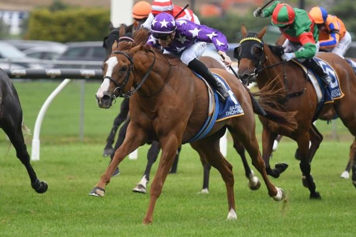 Dry-track NZ stayer in hunt for G1 Sydney Cup
