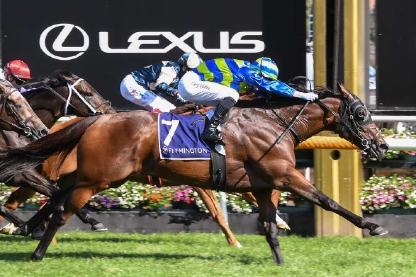 The 10 longest-priced winners of the Australian racing season