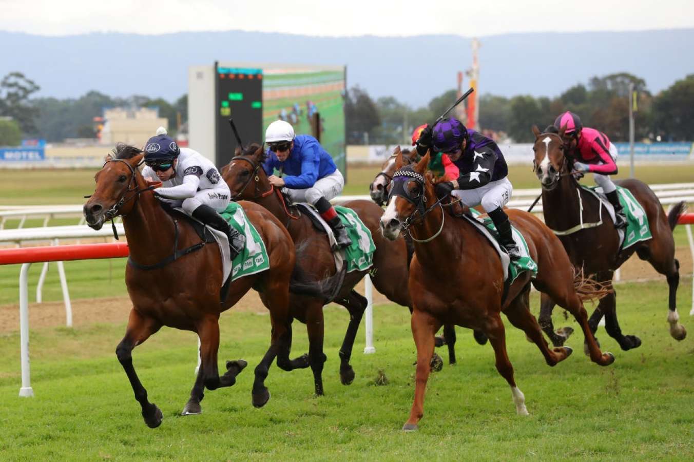 Best bets for Scone from the Punters Inside Run team