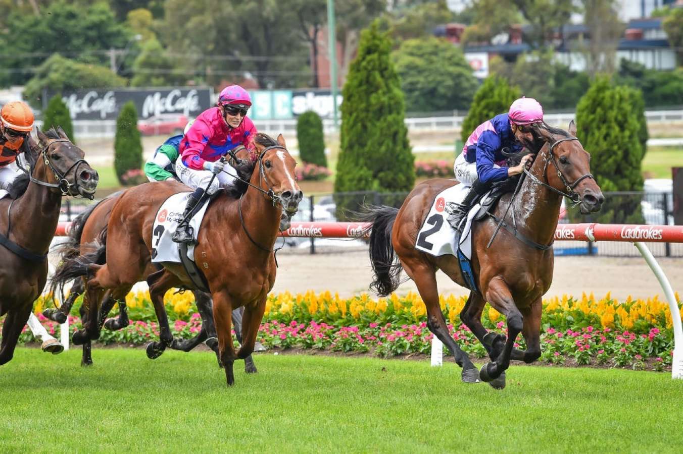 The Valley: Mamaragan ends 1073-day drought on debut for Nick Ryan