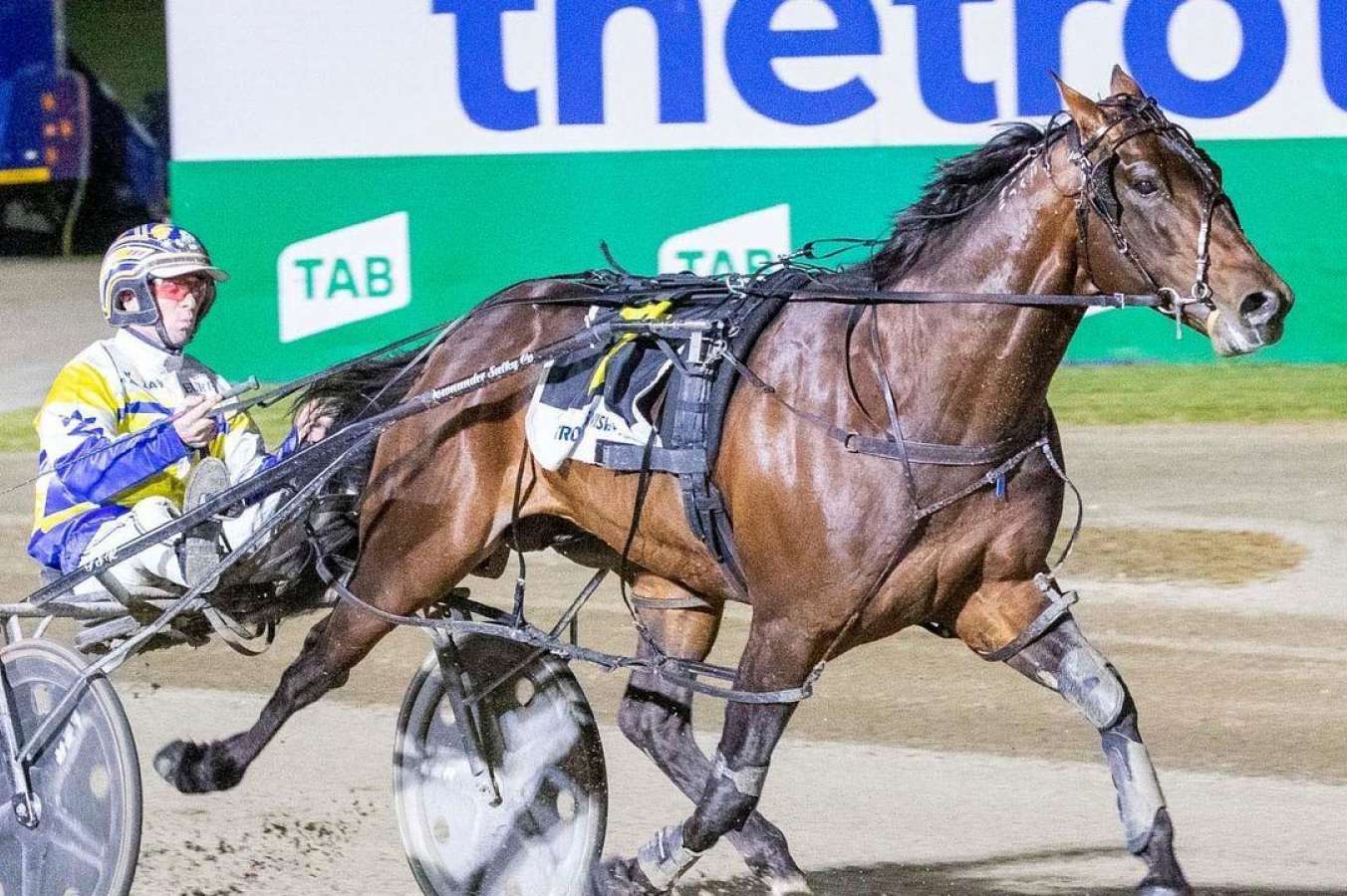 Mark Pitt hasn't given up on catching Kate Gath in drivers' title