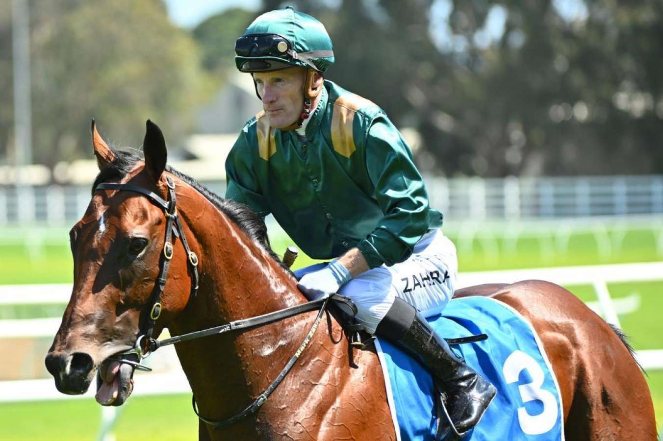 Blue Diamond Stakes fancy Bodyguard under injury cloud