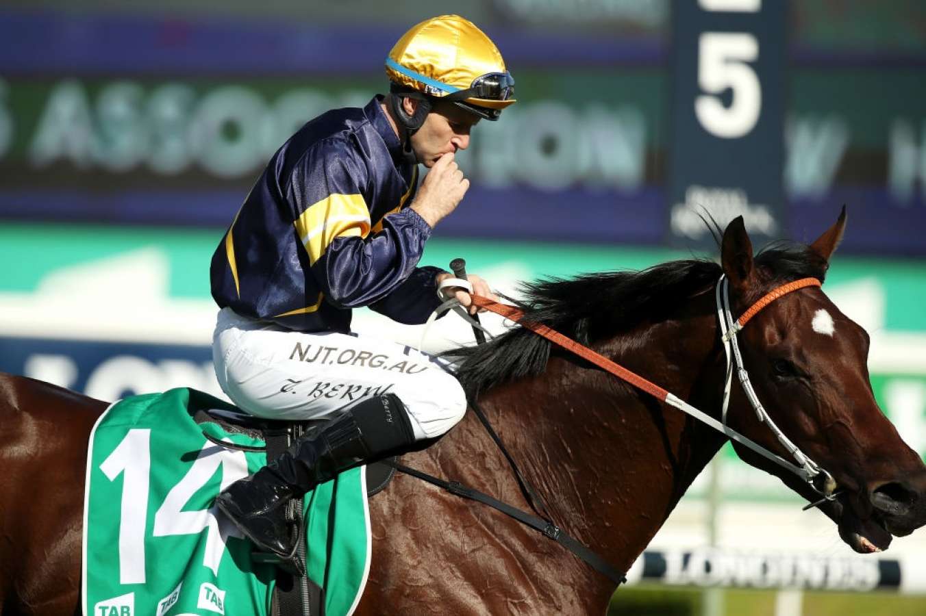 Odds-on favourite Masked Crusader bombs hard at Rosehill