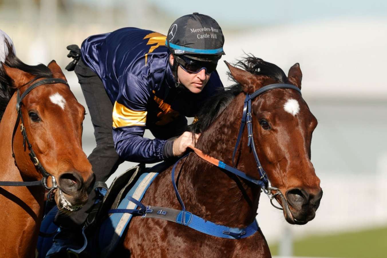 The Everest contender Masked Crusader impresses at Rosehill