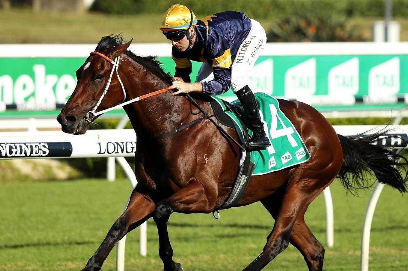 Masked Crusader gives Tommy Berry the chance to win his first The Everest