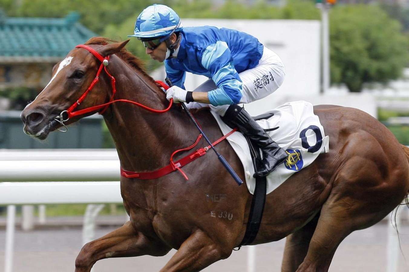 Former boom HK sprinter back in Australia eyeing Goodwood