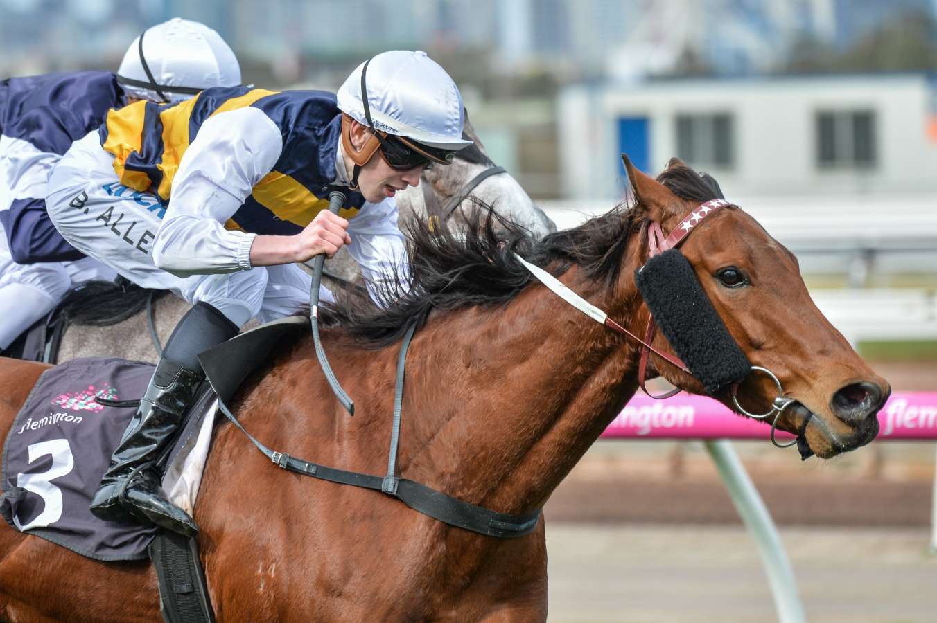 Master Zephyr back in winner's circle