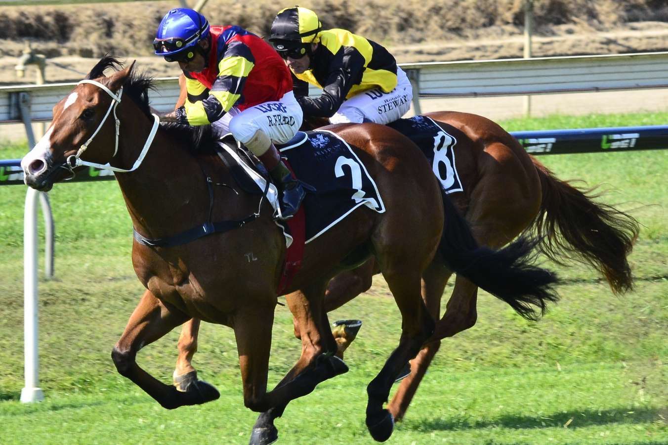 Snitz wins way into Championship final