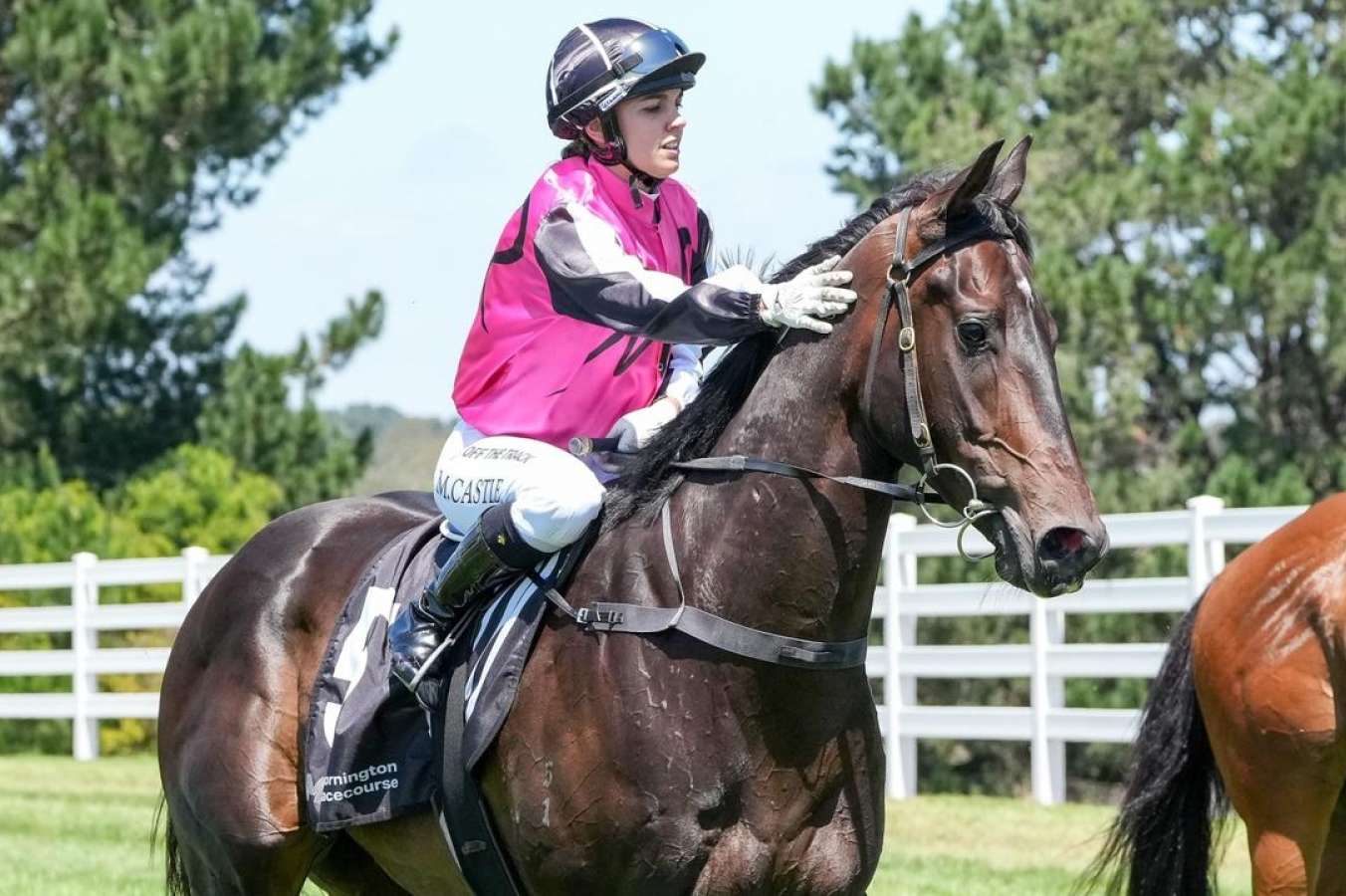 Melea Castle determined to cement herself in the Victorian riding ranks