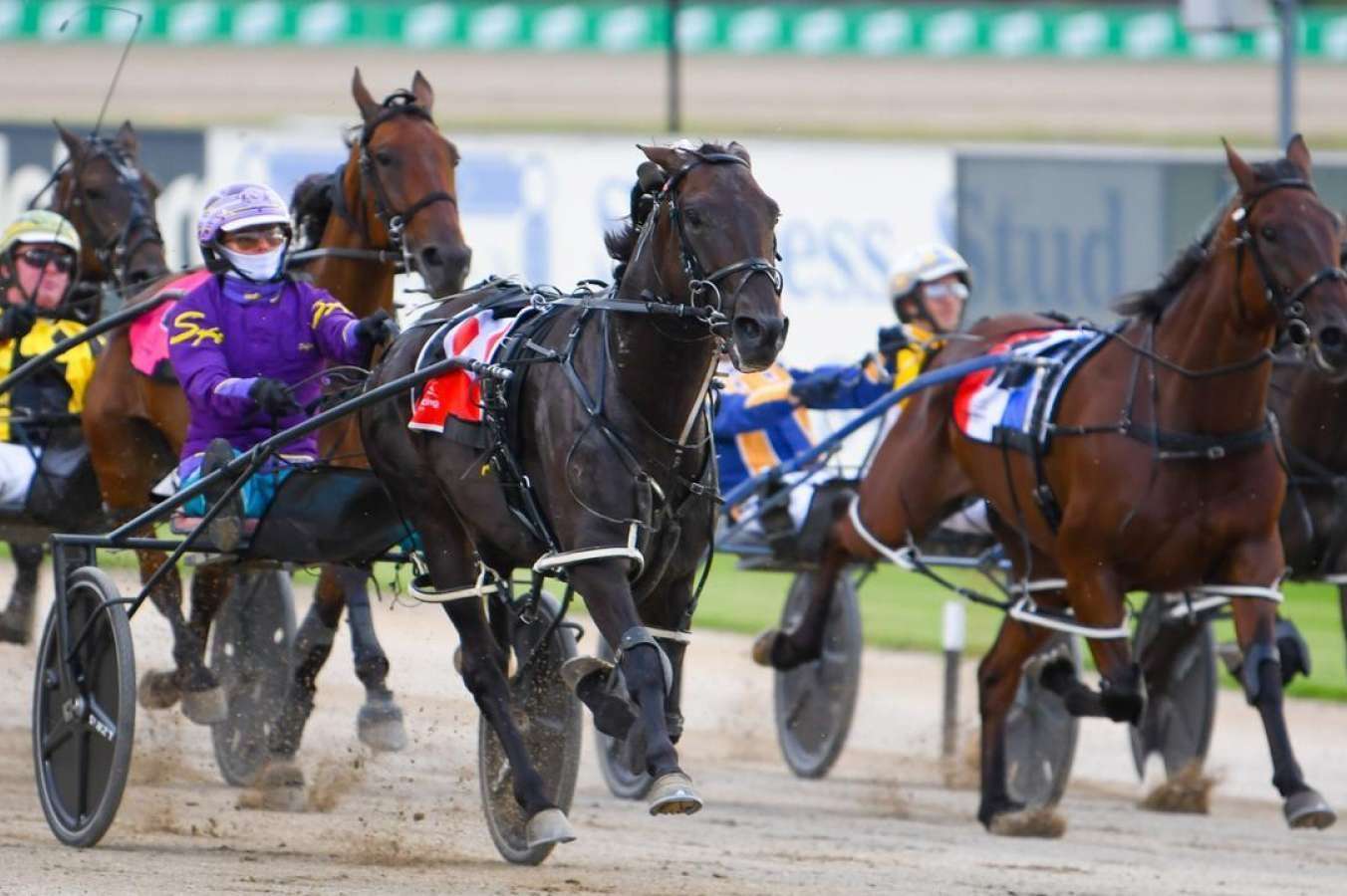 The Eureka: Sydney to host world's richest harness race