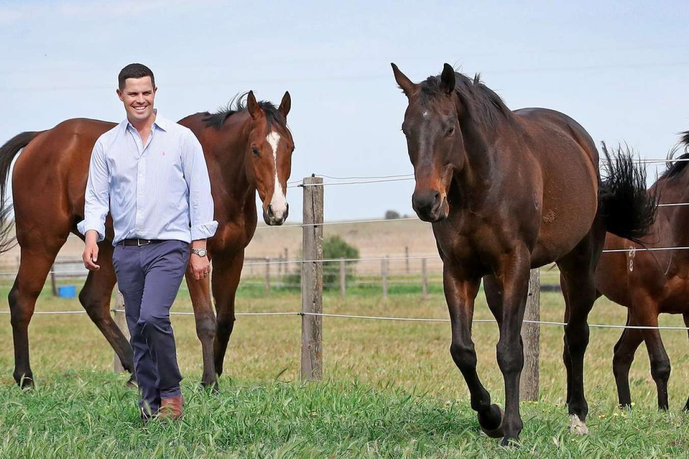 Michael Hickmott-trained Pindaric is chasing three straight at Murray ...