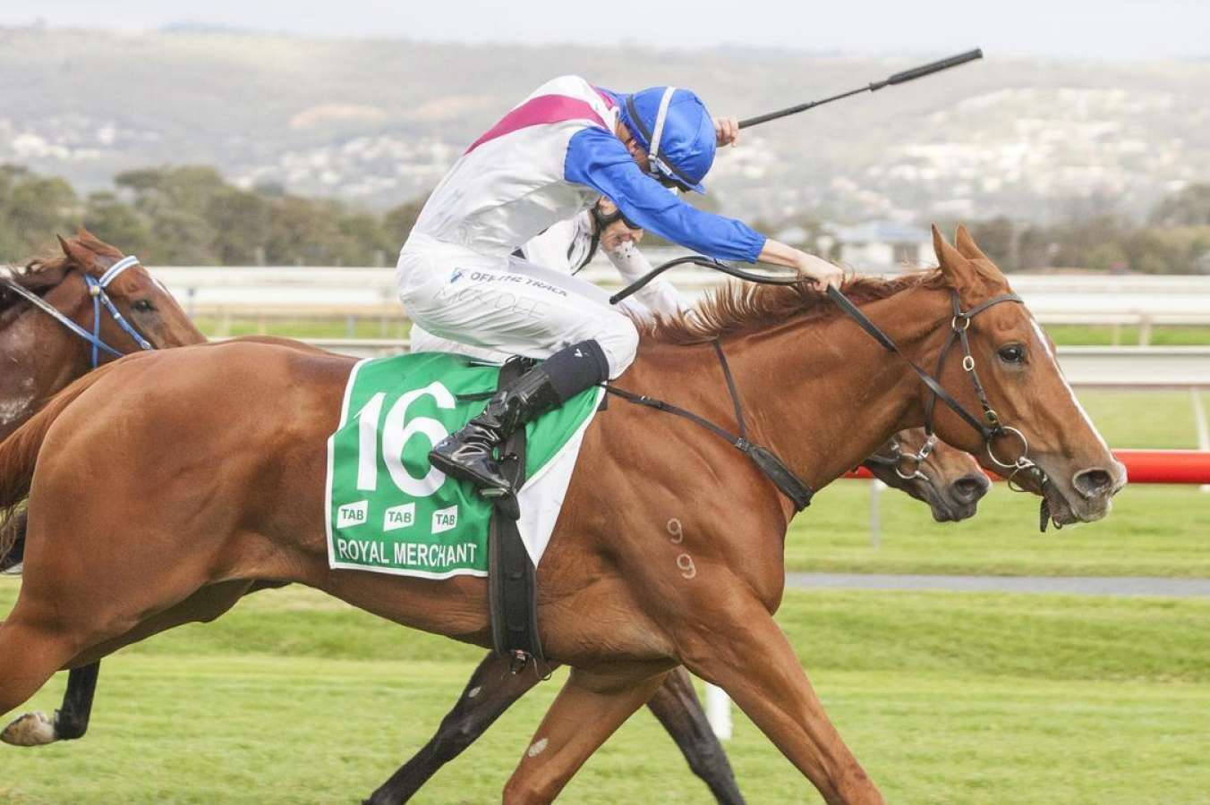 Royal Merchant gives Maher/Eustace another SA Group 1 in Goodwood