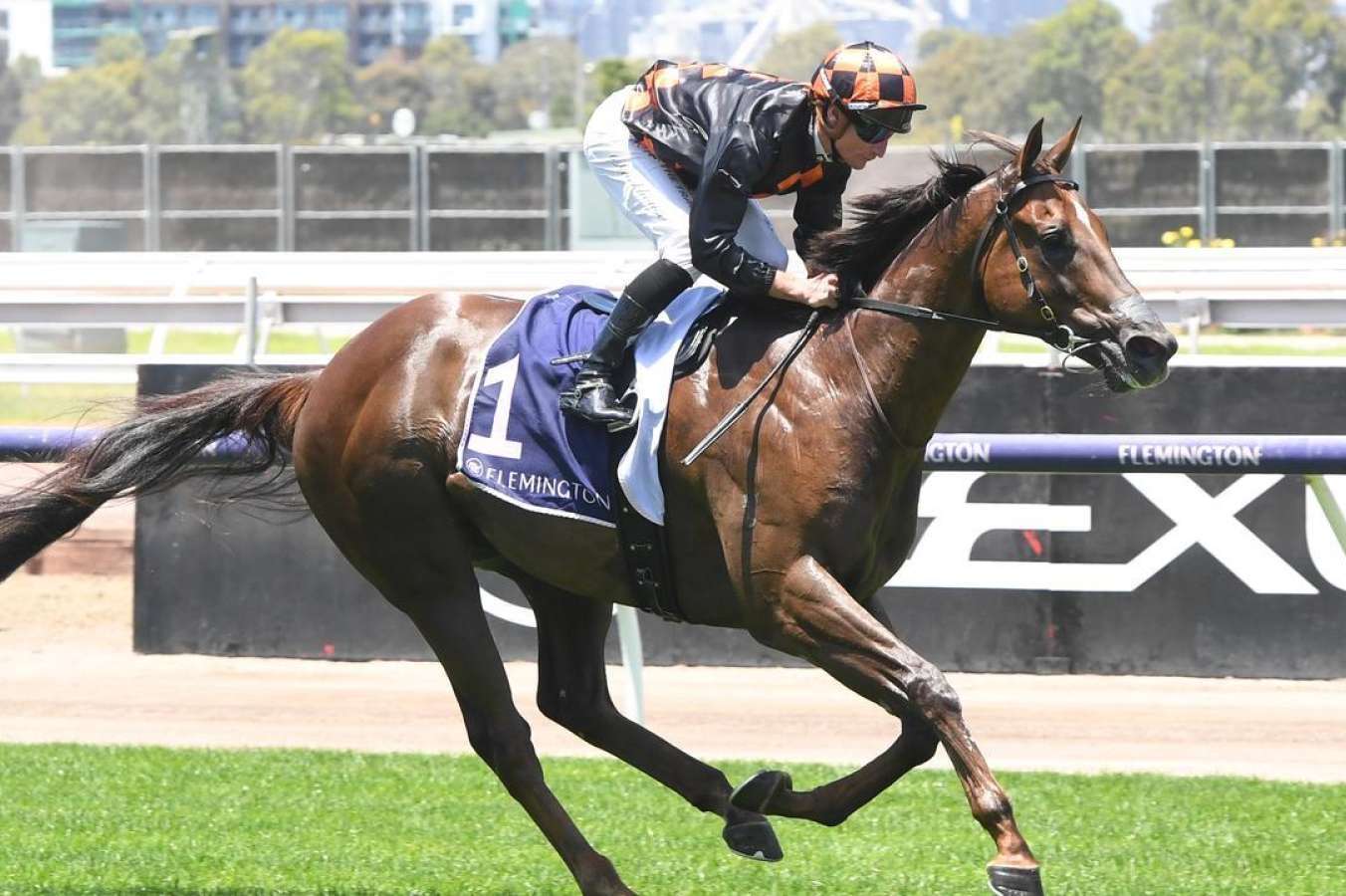 Punters' Saturday best bets multi paying $80