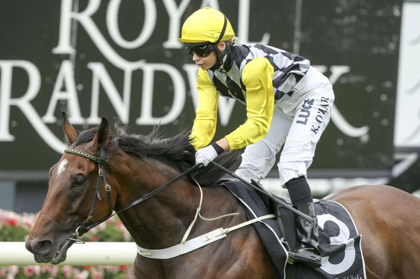 Fred Cowell to see Mighty Lucky in action