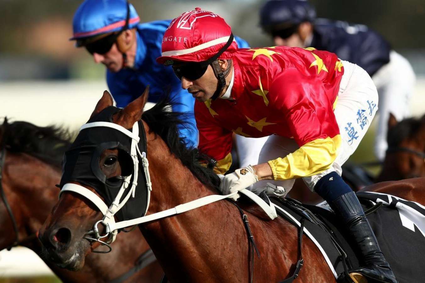 Militarize and the Magic Man reign supreme in Golden Rose