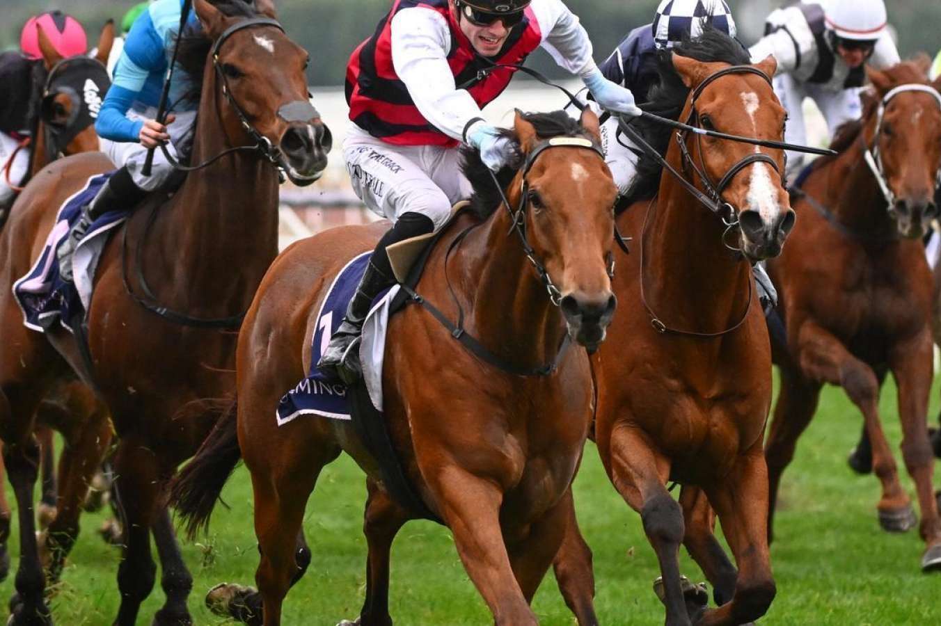 Best bets and expert tips for Kilmore Cup & Swan Hill Sunday