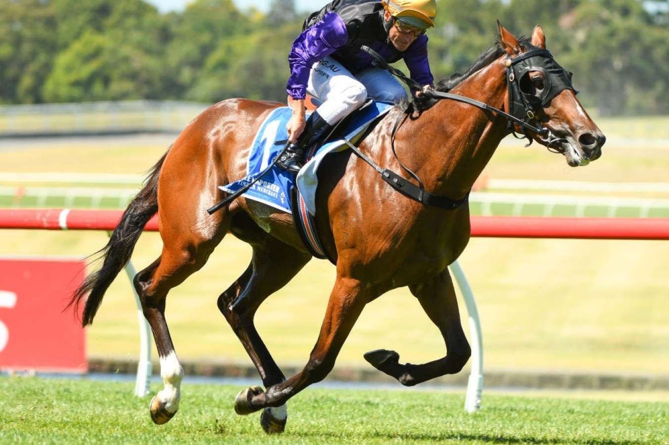 Flemington straight perfect starting point for Milton Park