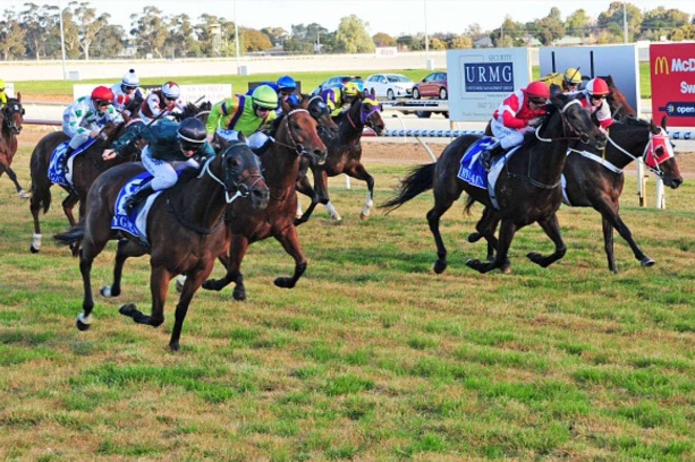 Mio Dio up for the challenge at Flemington