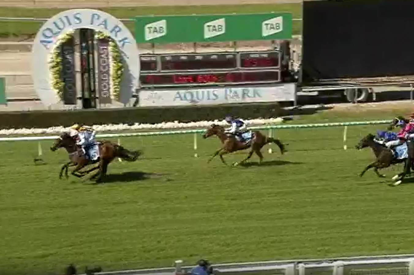 'The biggest bet I've had on a horse': Trainer recalls huge debutant ...