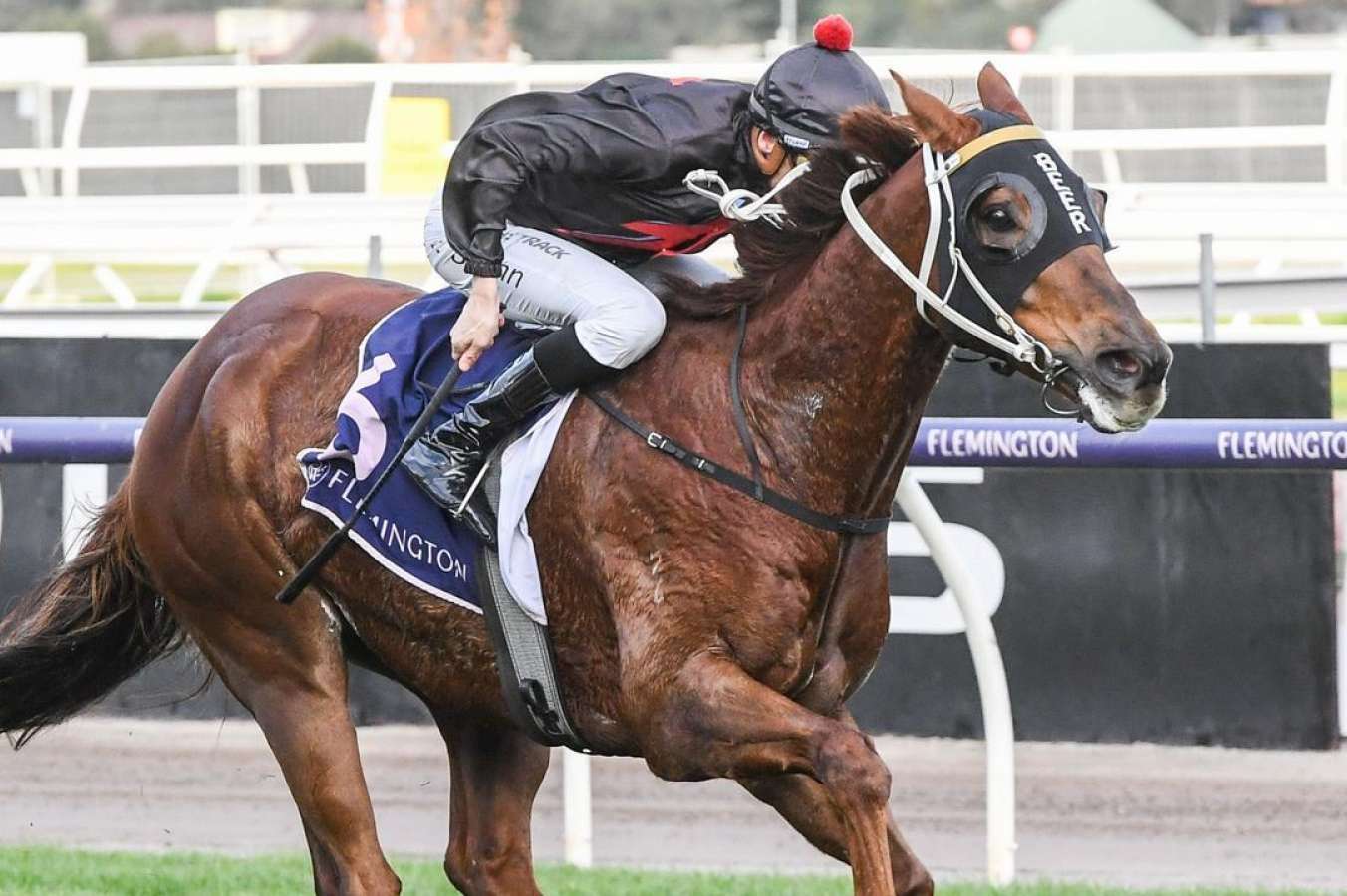 Trainer Mitchell Beer yet to decide Mnementh's second-up target