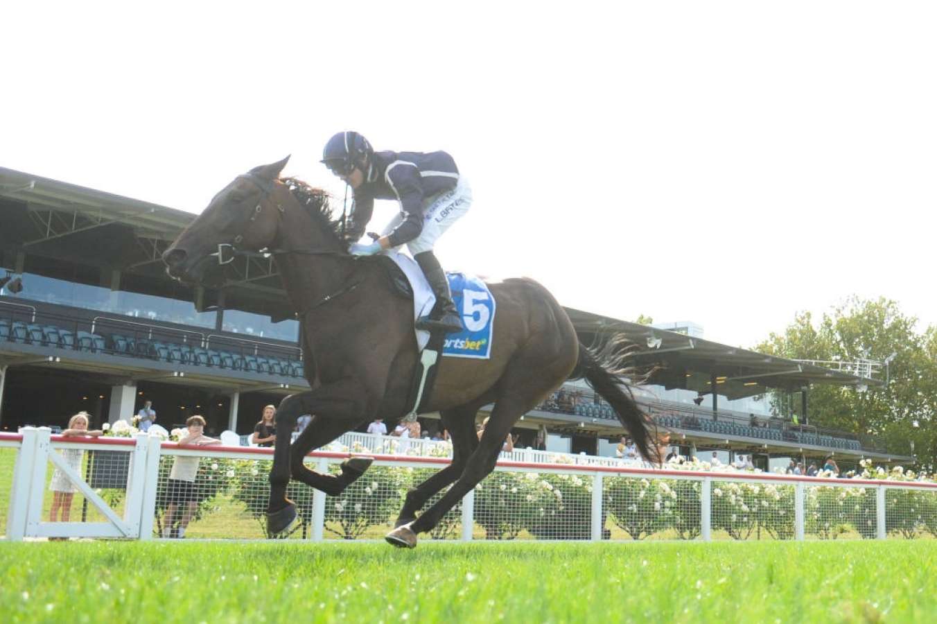 Mornington preview and tips, January 22