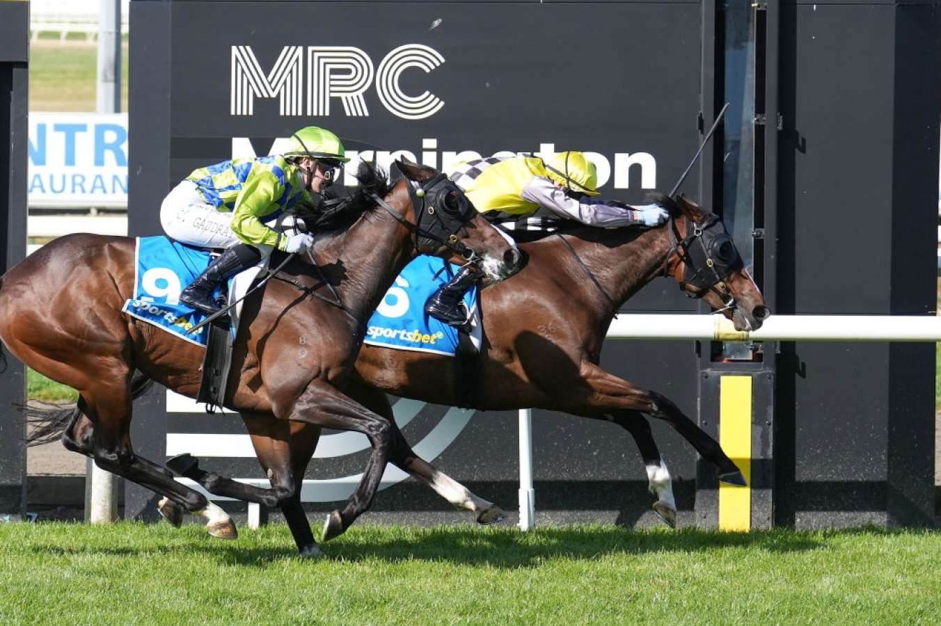Mornington preview and tips, December 11