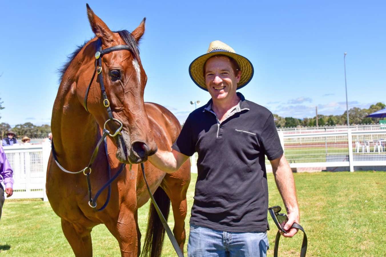 Plunge on Hardacre debutant at Hamilton