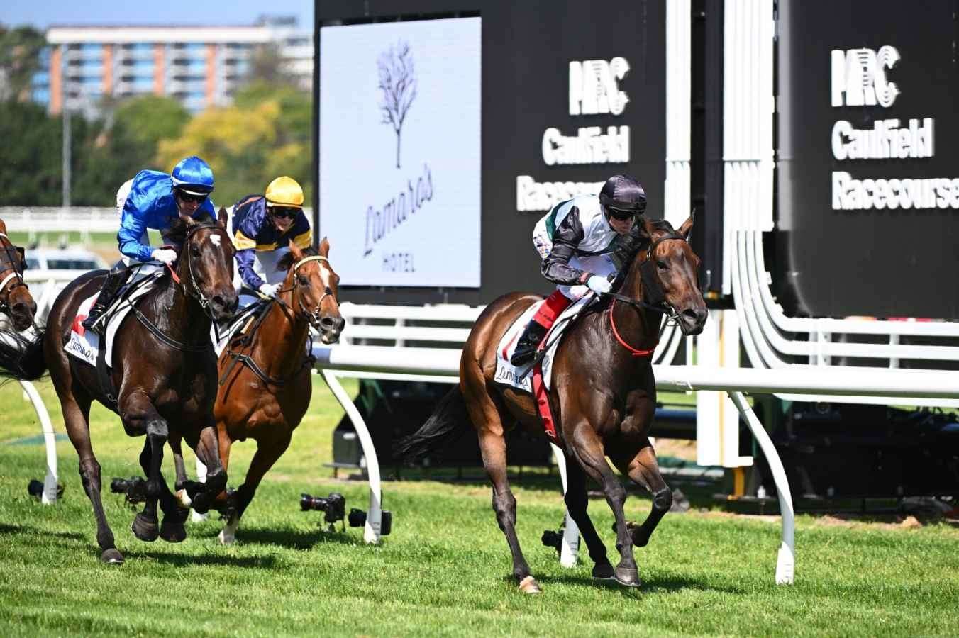 Futurity Stakes Field - 2025