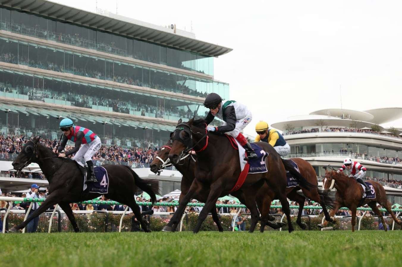 'He's got no BS': Mr Brightside has Willo jumping for joy