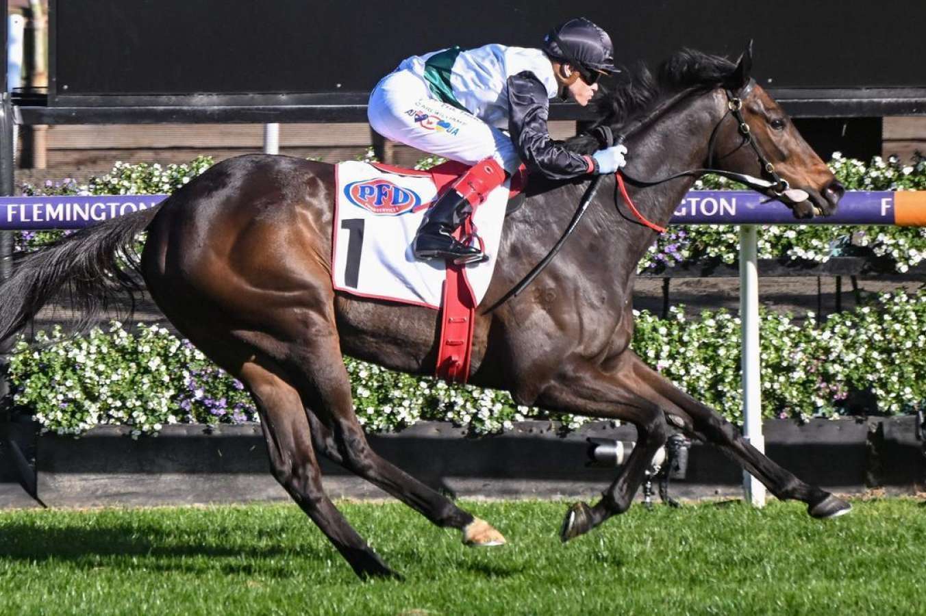 King Charles III Stakes field and barrier draw: Mr Brightside in prime ...