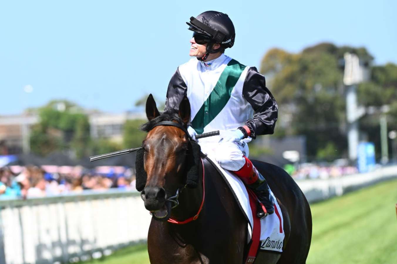 The Might And Power Field - 2024