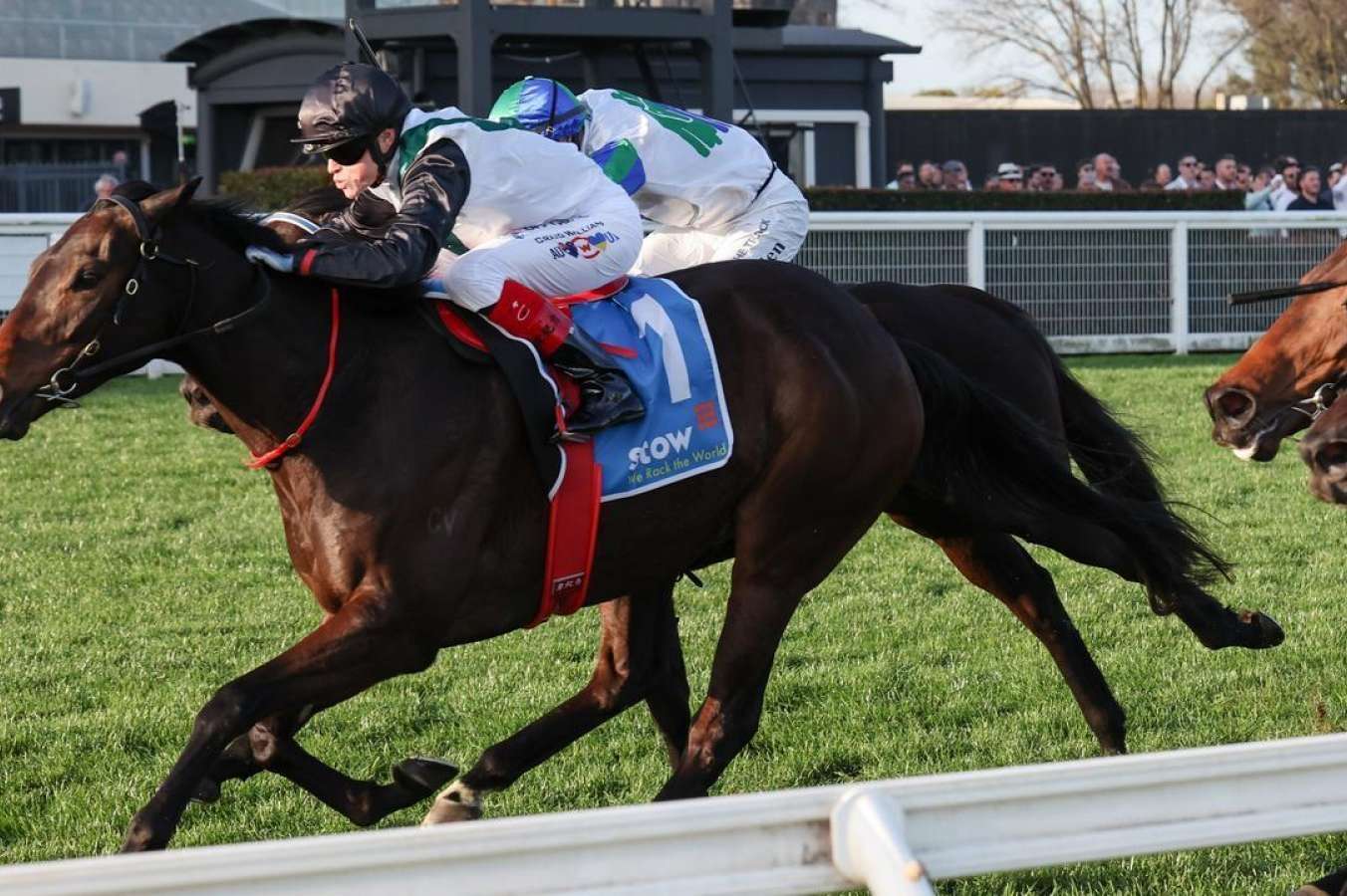 Amelia's Jewel draws carpark in Melbourne debut