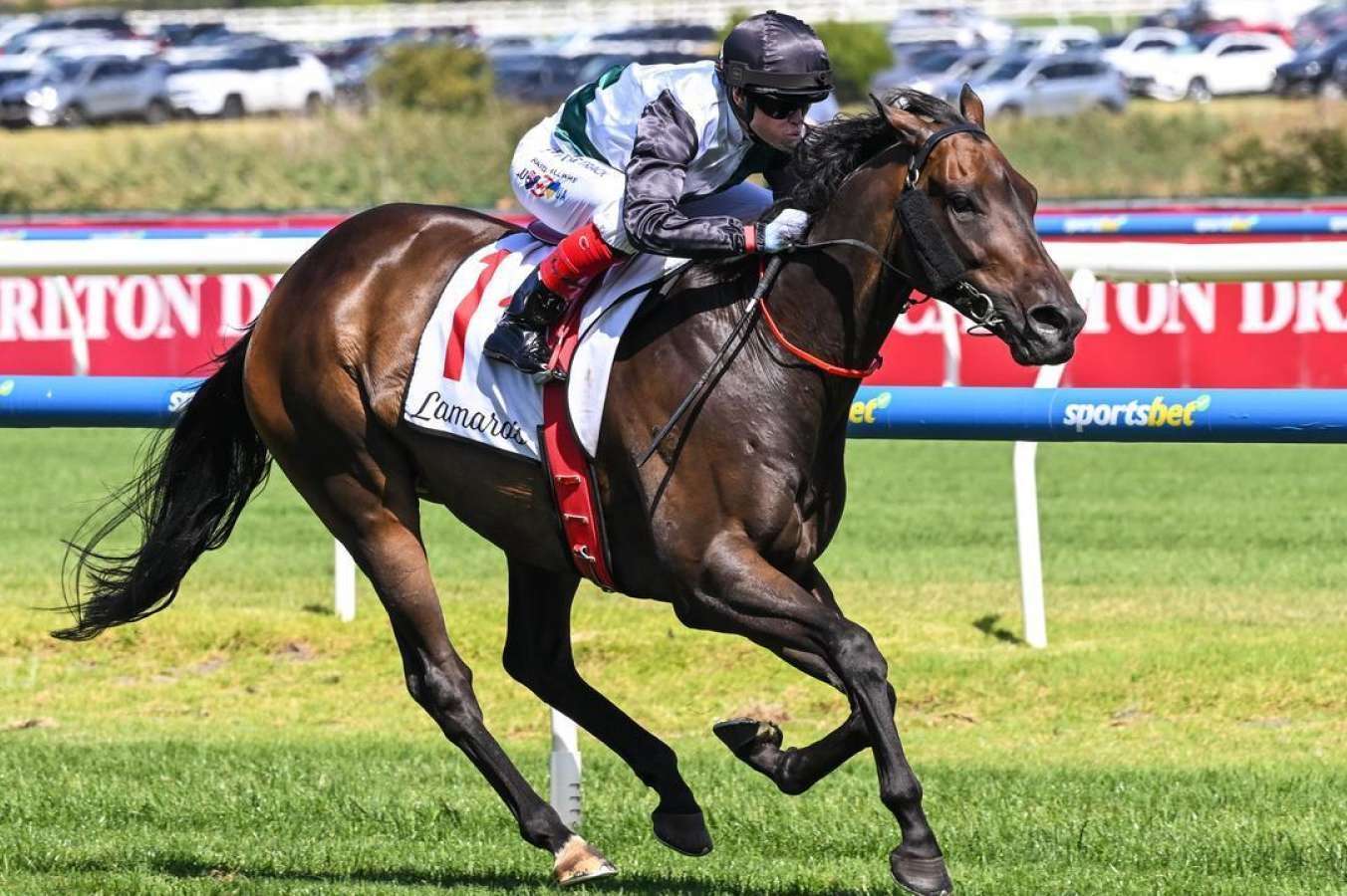 Mr Brightside 8% sale: Share passed in for $275,000 on Inglis Digital