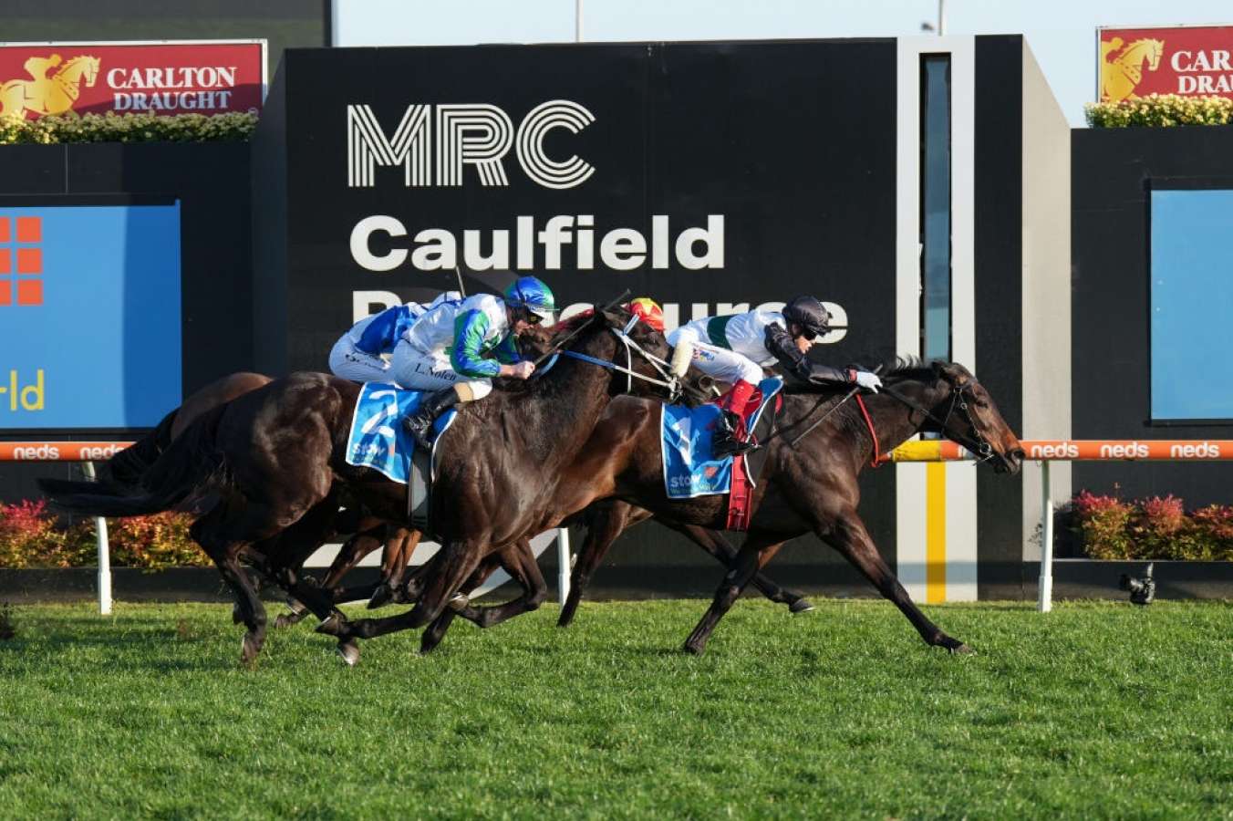 Mr Brightside does it again in Memsie Stakes at Caulfield