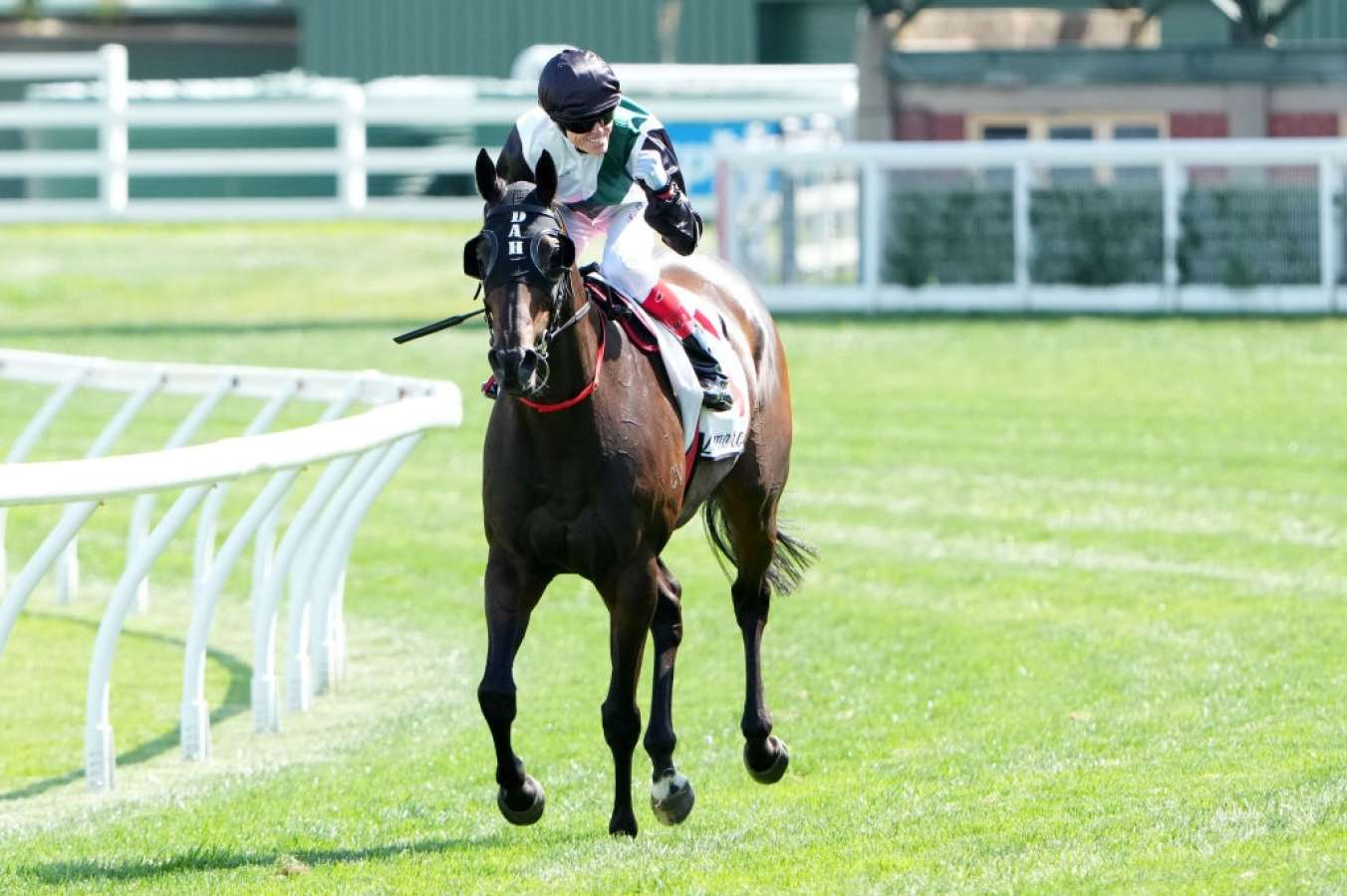 Mr Brightside ruled out of Group One George Ryder Stakes