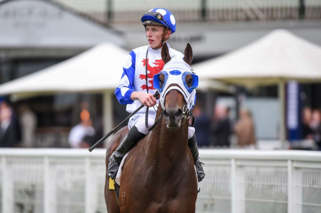 Mr Quickie ready for step up to big league