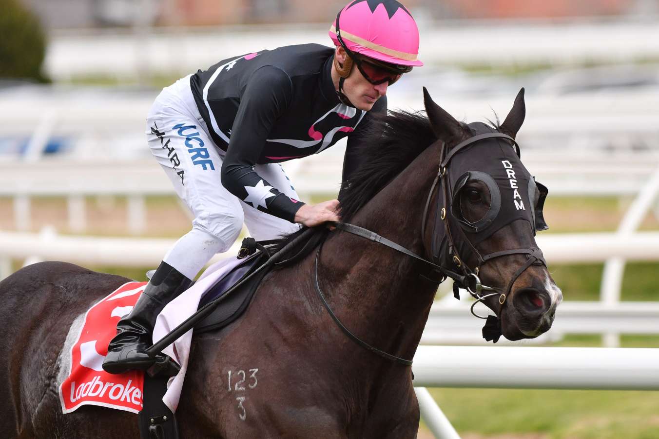 Mr Sneaky on path to Group One handicap