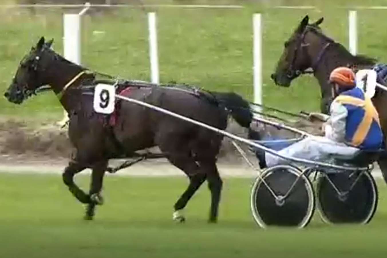 Late bloomer wins on debut at age 10