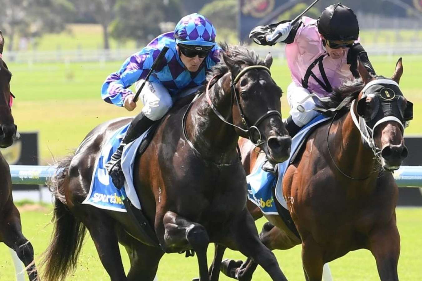 Muffin Man cleared for takeoff in Queensland Derby