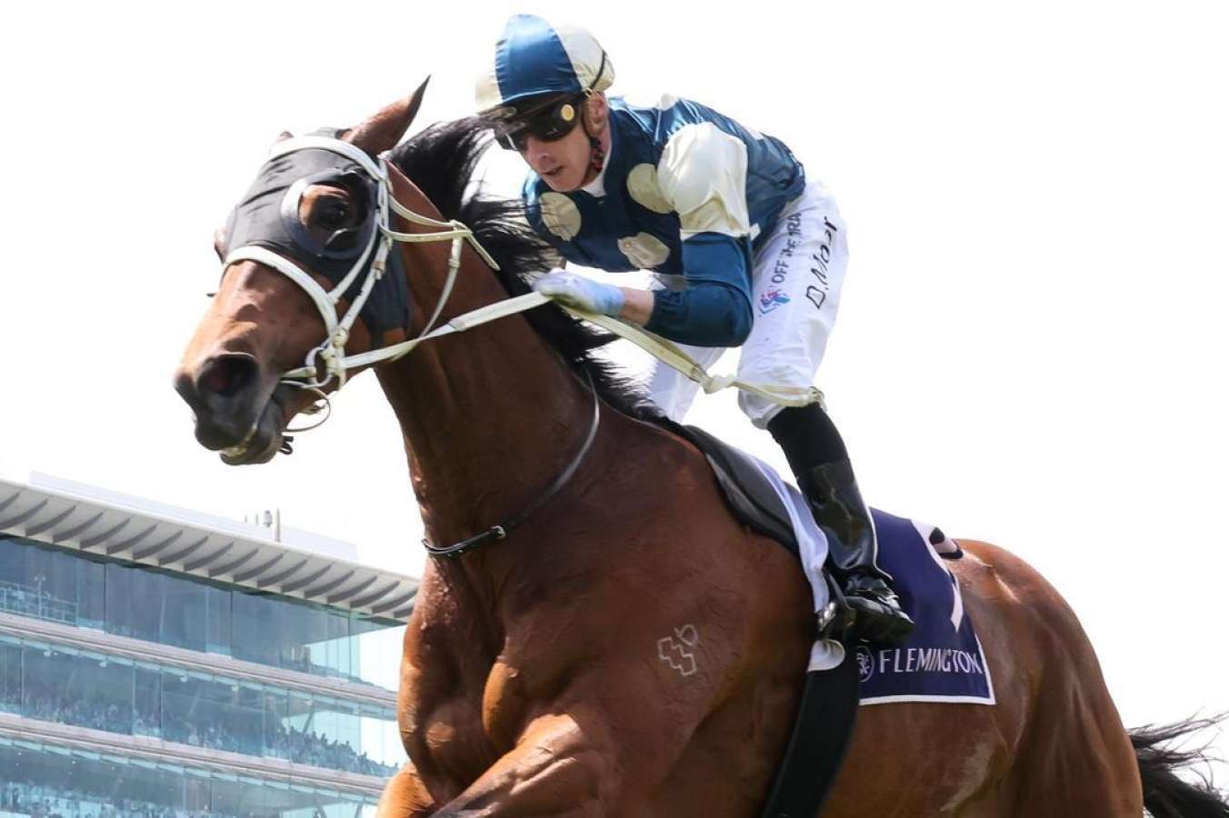 2024 Zipping Classic: Muramasa chasing consolation prize