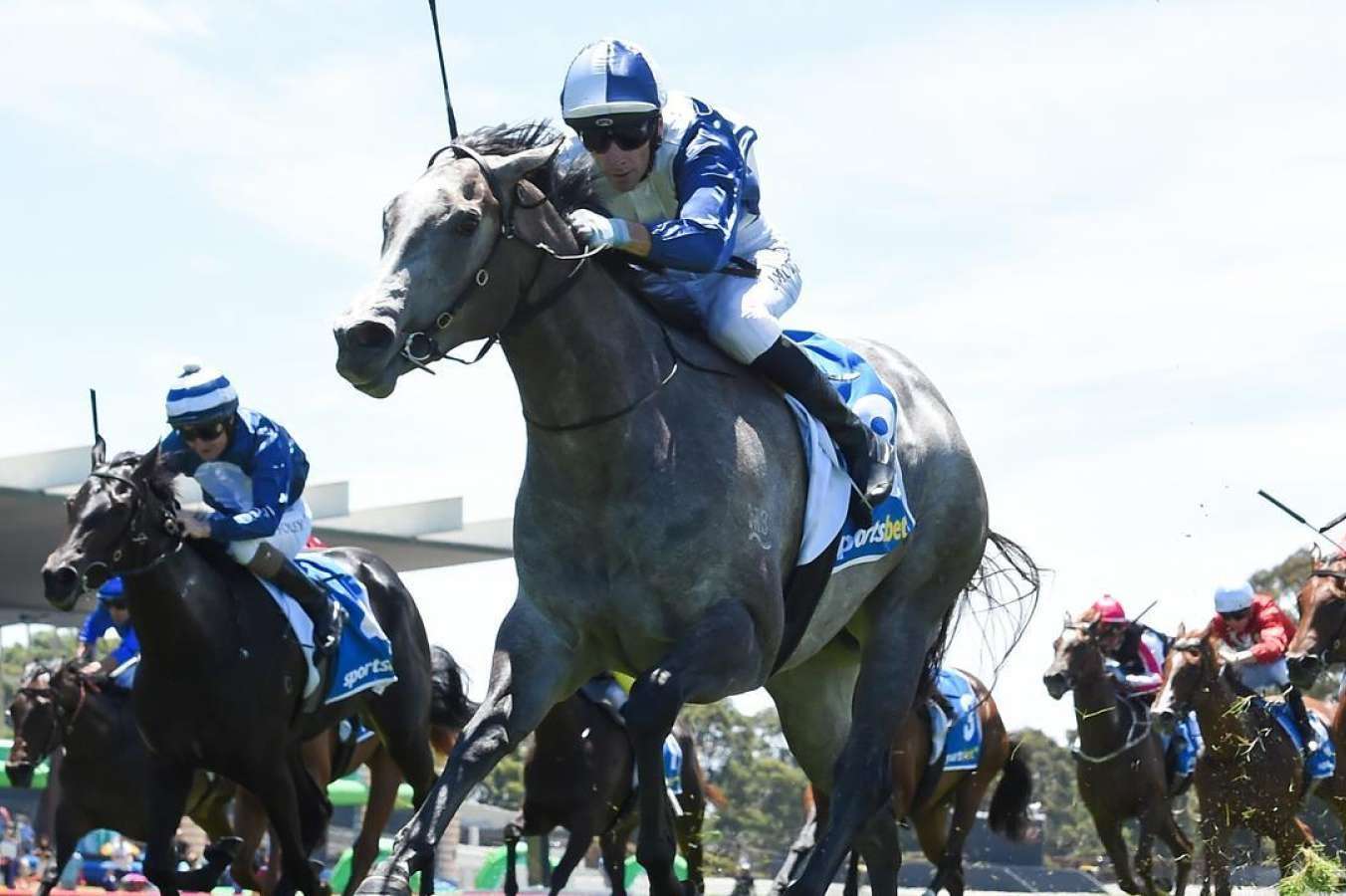 Jamie Mott excited by My Gladiola after colt show off too much in Blue ...