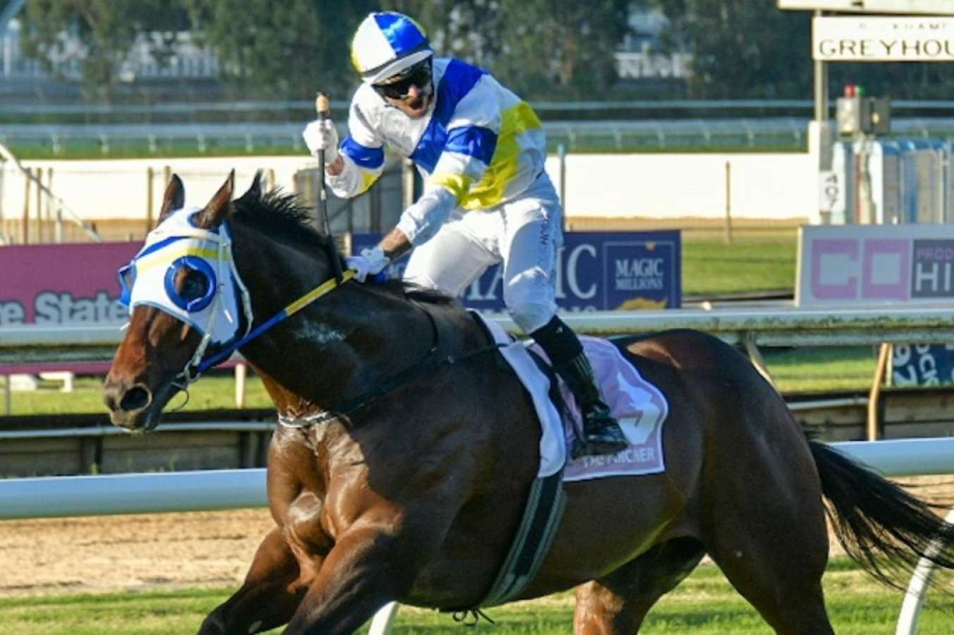 King hit jockey wins The Archer ... again