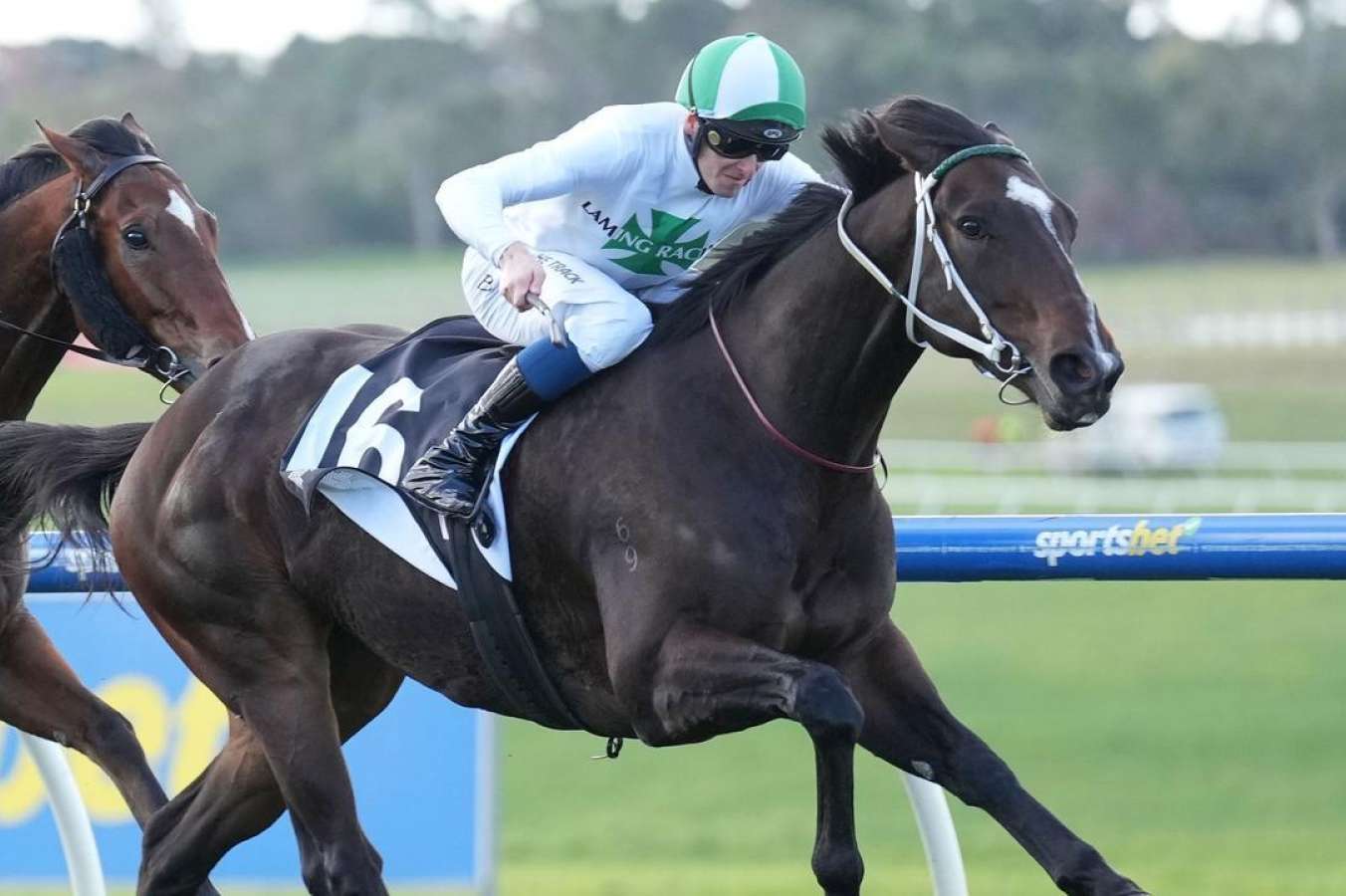 'Patience is paying off': Name Dropper protects unbeaten record