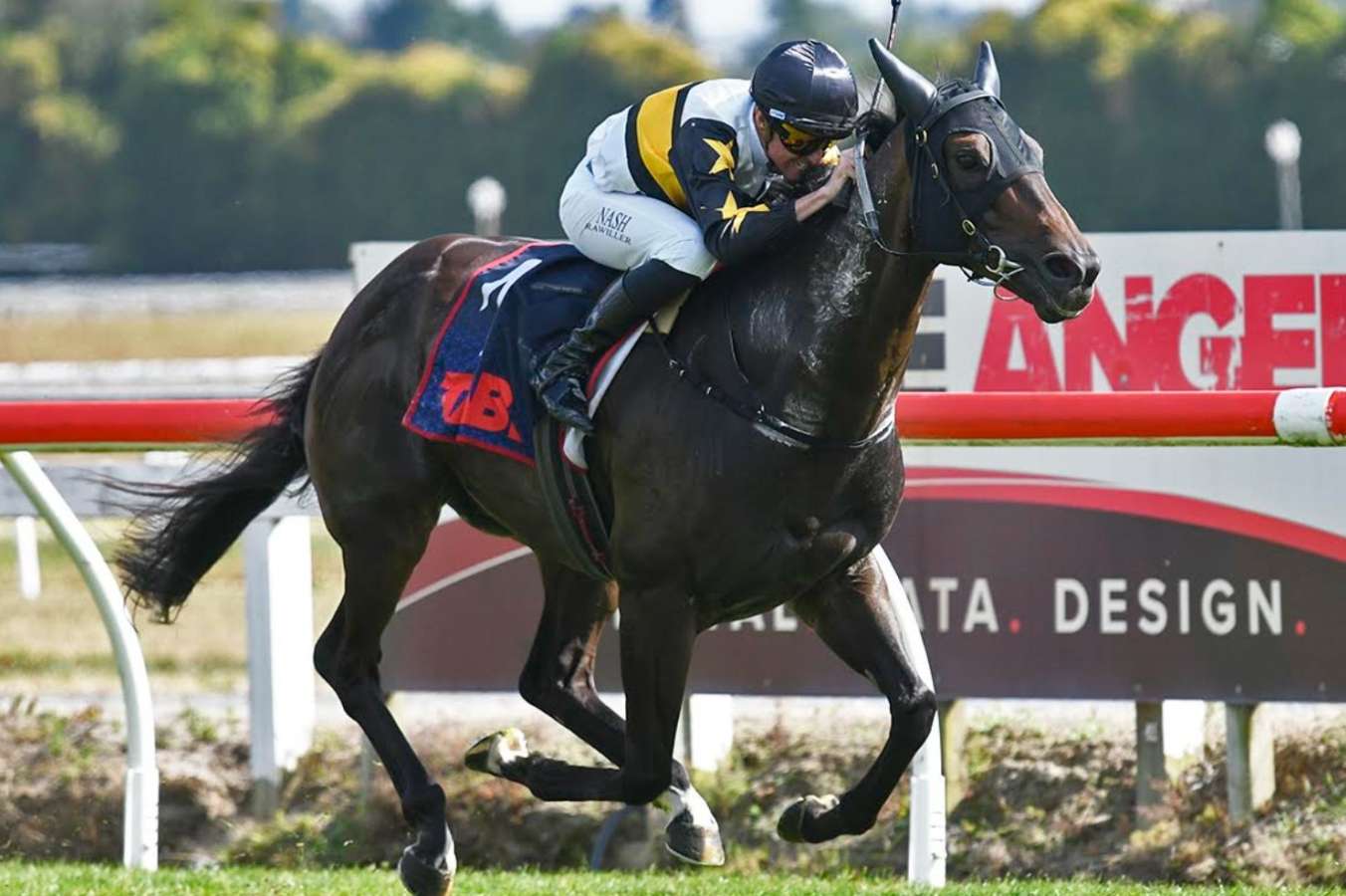 Nash Rawiller delivers Aussie victory in NZ Group 1 sprint showdown